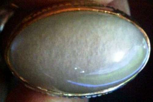 3 Macam Jenis Batu Akik Pandan Sudah Mulai Diminati